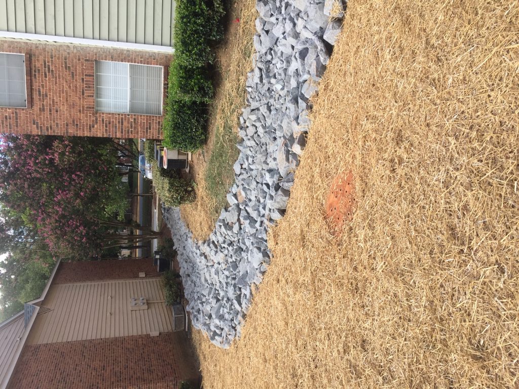 IMG_0258 | Peterson Grading